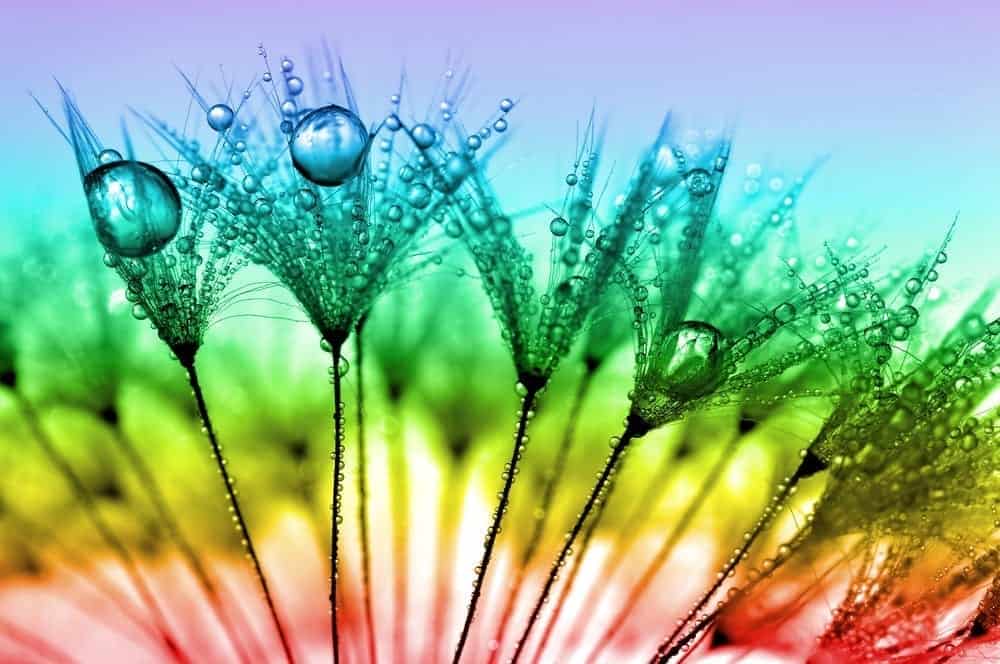 Kleurentherapie: de Kracht van Kleuren | San Bao Webshop